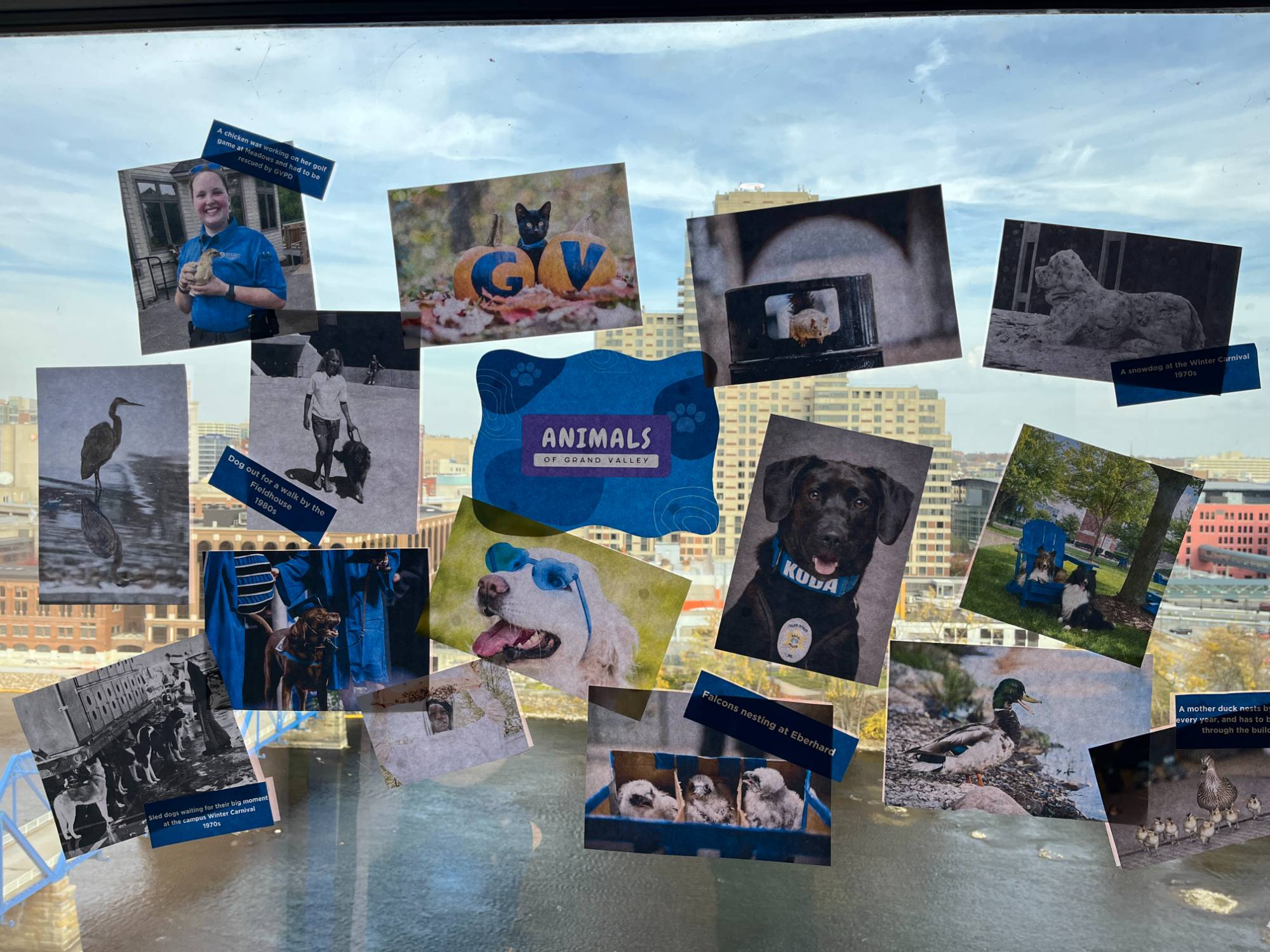 2024 Homecoming Office Decorating Competition Voting - Human Resources ...